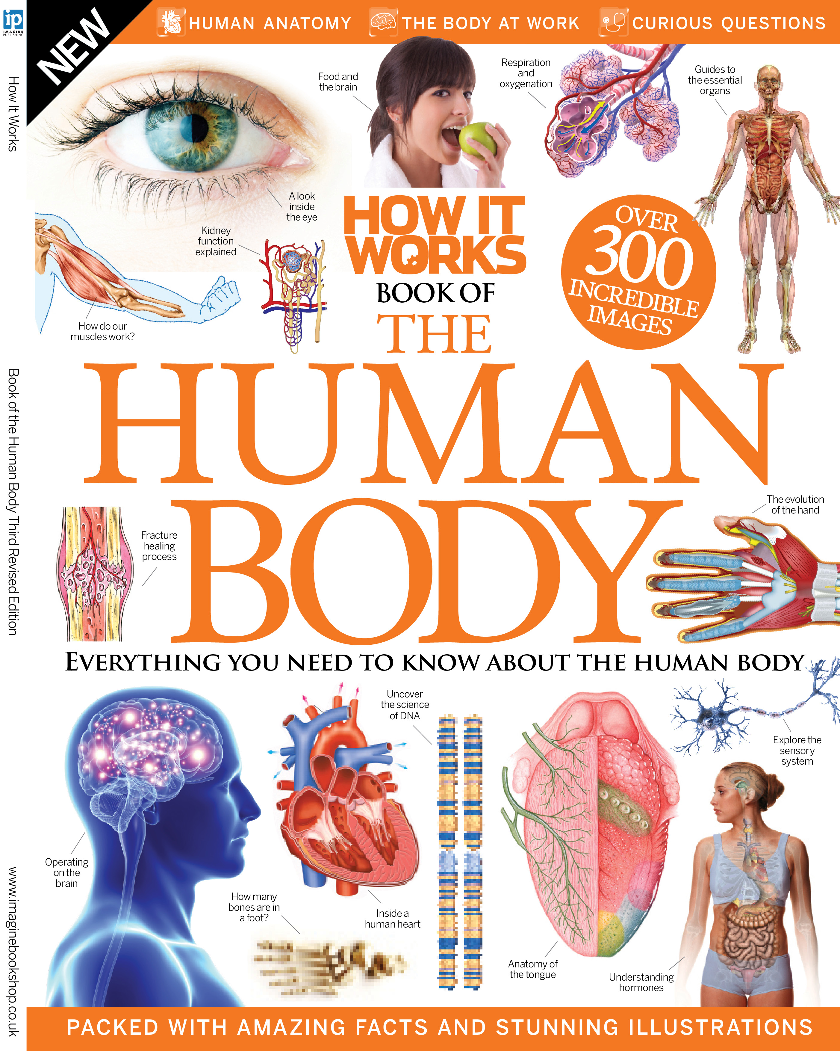 The How It Works Book Of The Human Body Uncovers The Science Of You The How It Works Book Of The Human Body Uncovers The Science Of You
