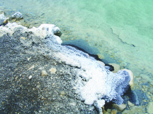 Why is the sea salty? – How It Works