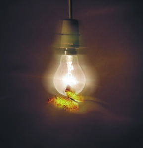 Why are moths attracted to light? – How It Works