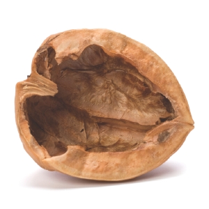 The theory of special relativity in a nutshell – How It Works