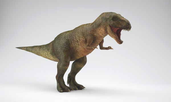 Was the T-Rex the biggest ever dinosaur? – How It Works