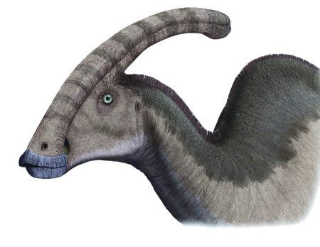 How Large Were Hadrosaurs? – How It Works