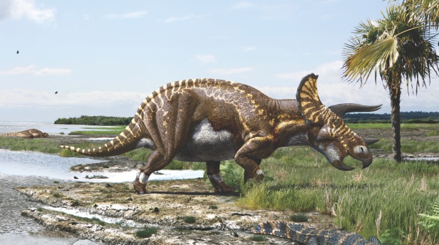 Top 5 Facts: Triceratops | How It Works Magazine