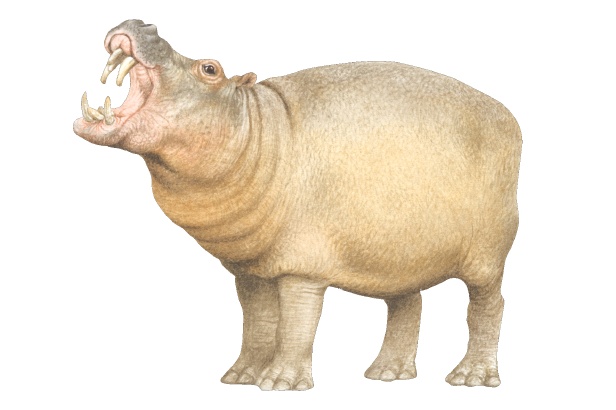 Beasts of the Nile – How It Works