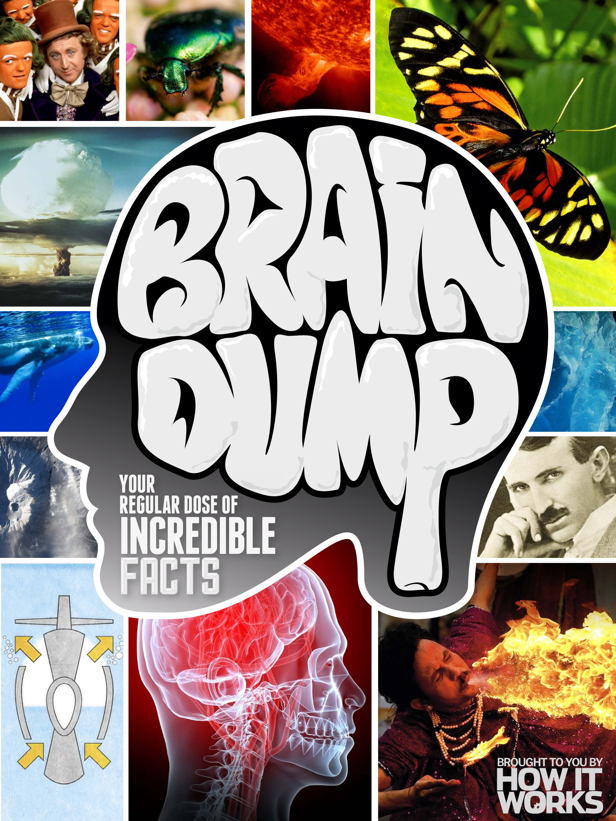 A new way to feed your mind – How It Works