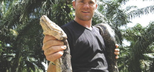 Steve Backshall speaks out for sharks – How It Works