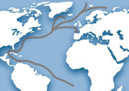 What is the Gulf Stream? – How It Works