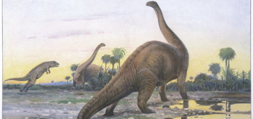 Where are the best places to find dinosaur bones and why did some ...