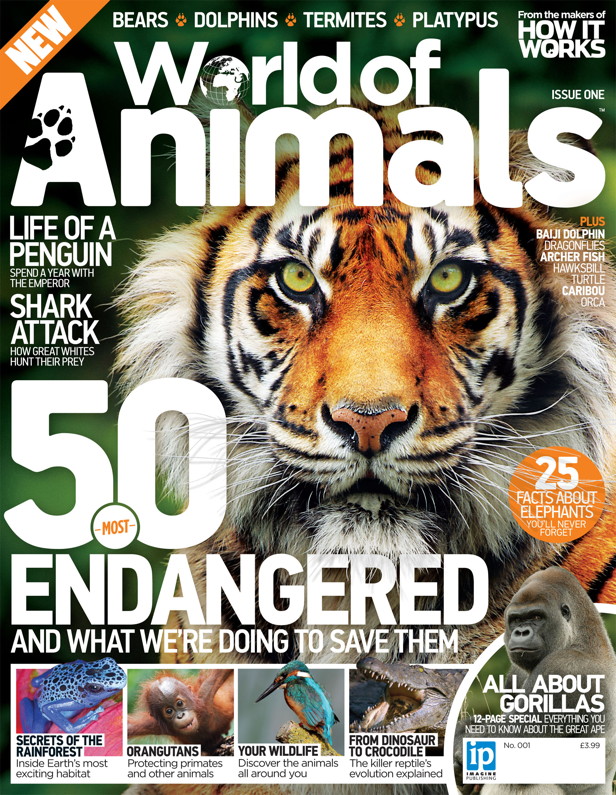 Go wild with World of Animals! – How It Works