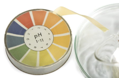 What is litmus paper?