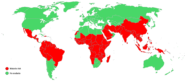 The birth of the World Health Organization – How It Works