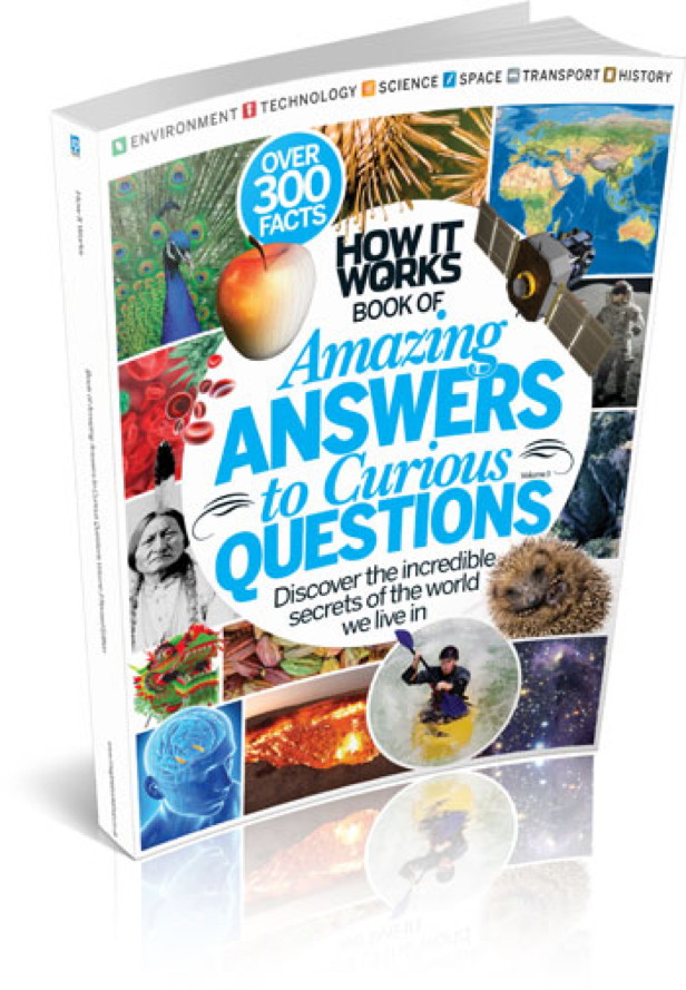 Amazing Answers to Curious Questions