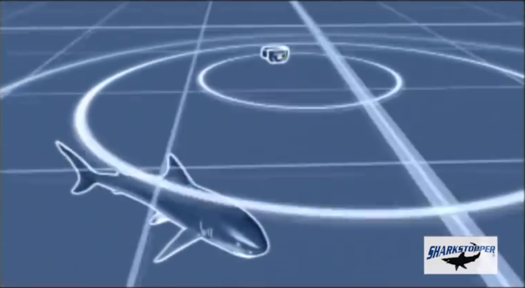Keep sharks at bay with Sharkstopper | How It Works Magazine