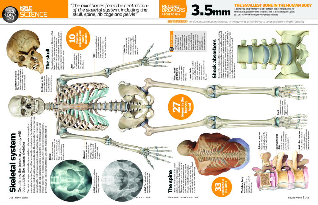 Discover the world of tomorrow in How It Works Issue 67