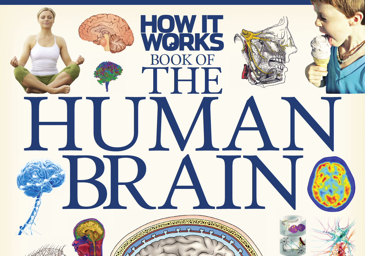 The Human Brain digital edition now on sale! – How It Works
