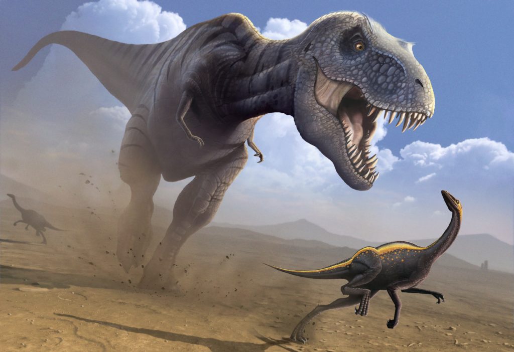 How did the T-Rex hunt its prey? – How It Works