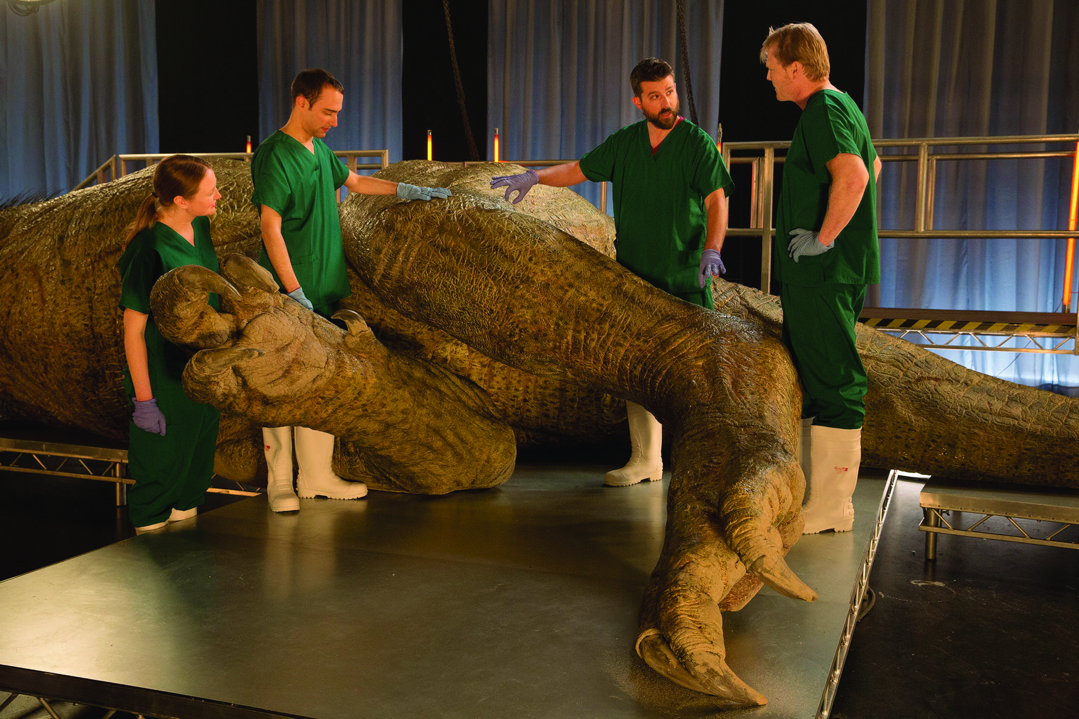 Interview with T. rex Autopsy palaeobiologist Dr. Tori Herridge | How ...