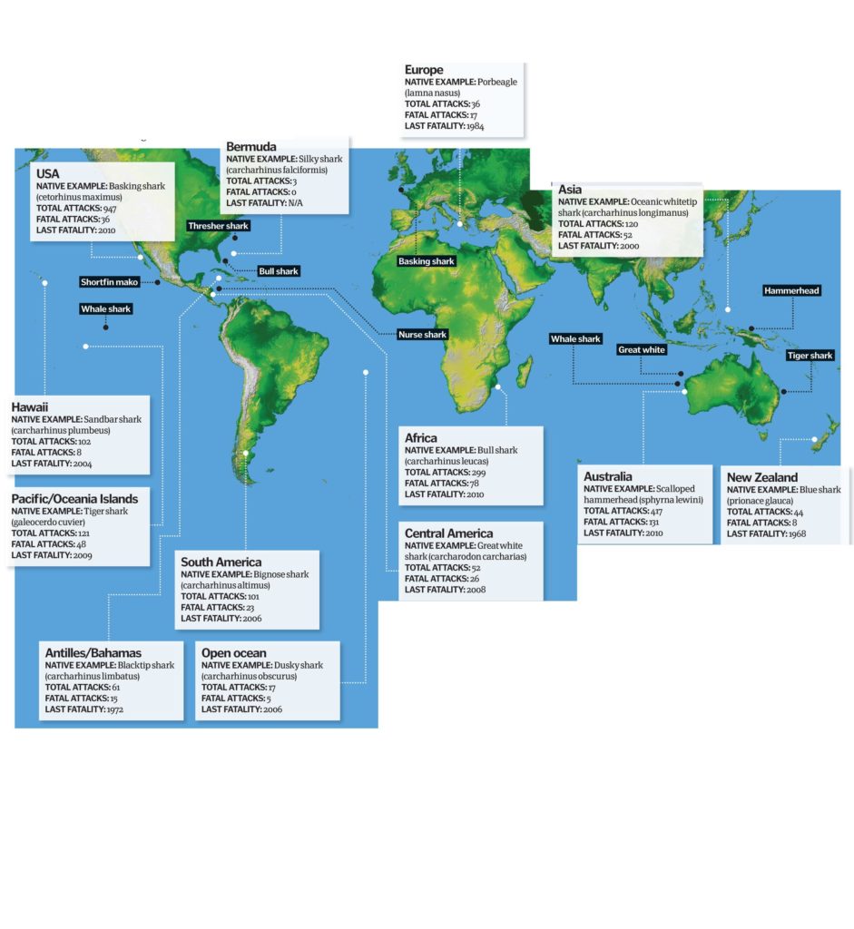 Shark Week: 25 fascinating questions about sharks answered – How It Works