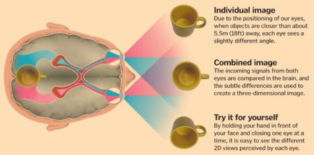 Science of vision: How do our eyes enable us to see? – How It Works