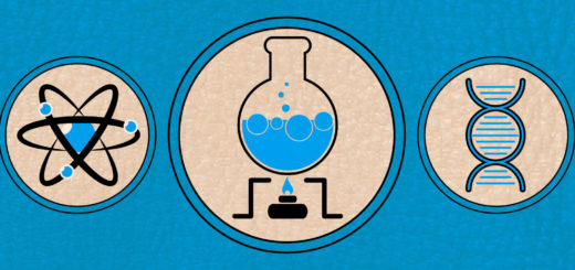 How It Works Team, Author at How It Works