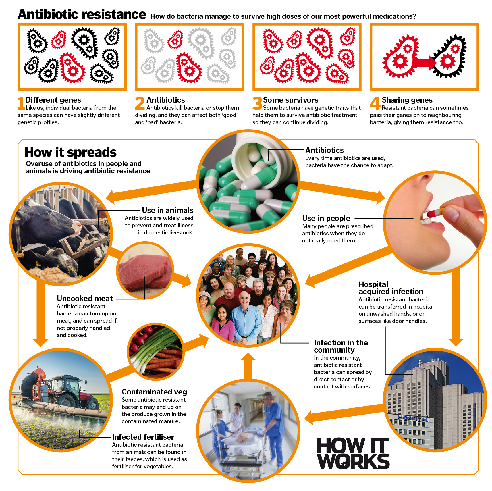 A cure for blindness - six medical breakthroughs for 2016 – How It Works
