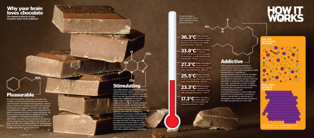 Why is chocolate so tasty? – How It Works