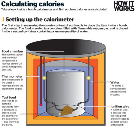 How are calories counted? – How It Works