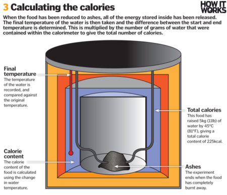 How are calories counted? – How It Works
