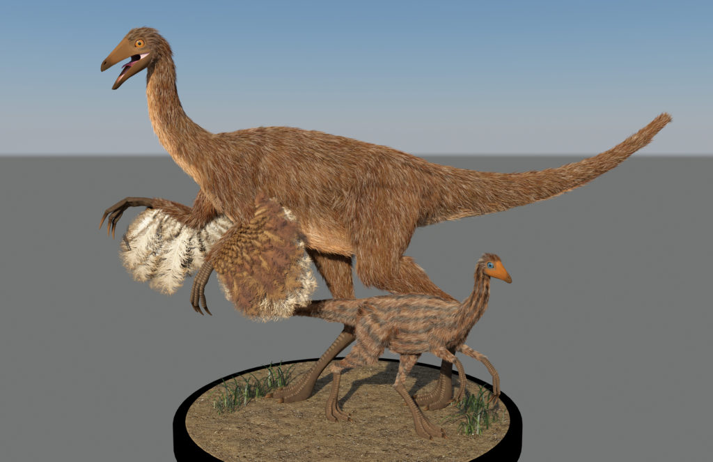 How do we know dinosaurs have feathers? – How It Works