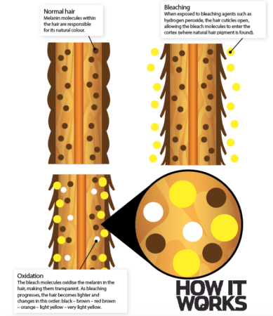 Hair Bleach: How does hair lightening work? – How It Works