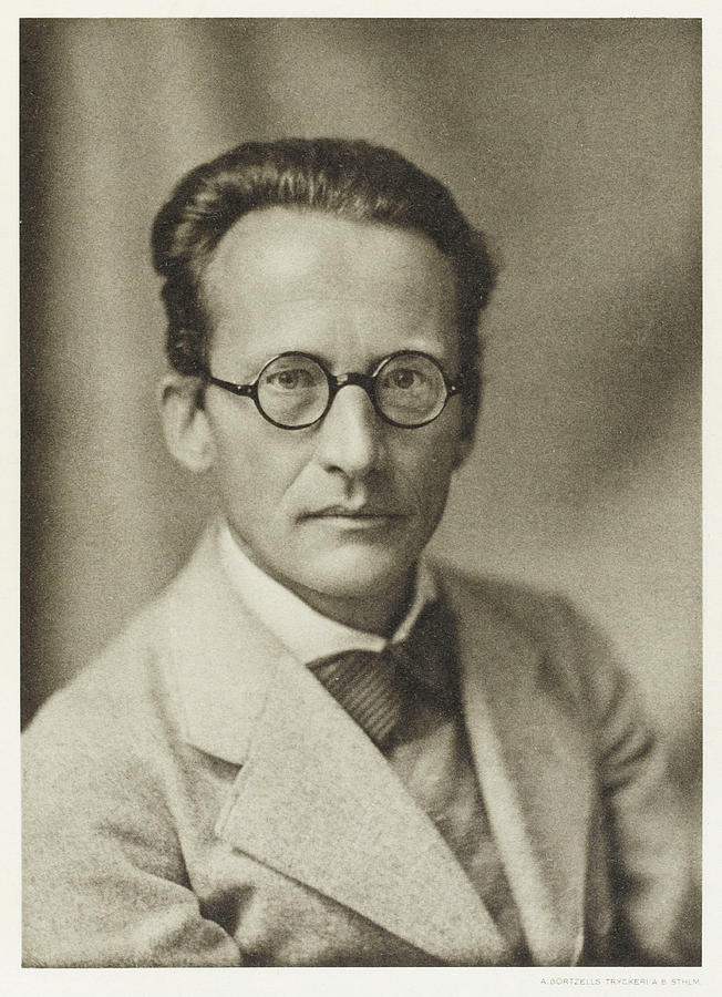 Who was Erwin Schrödinger? – How It Works