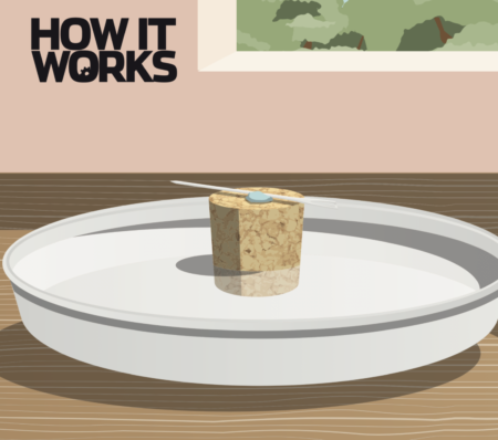 How to make a simple compass – How It Works