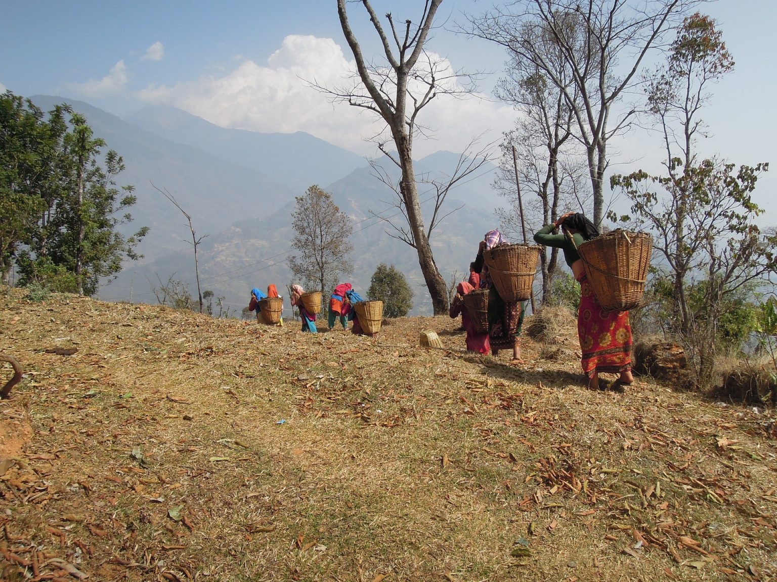 Top 5 facts: Himalayan living – How It Works