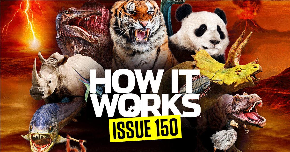 How It Works issue 150 is now on sale! – How It Works