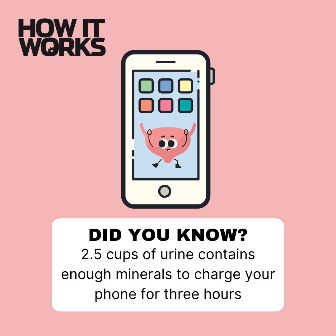 The How It Works Collection – How It Works