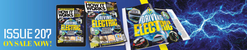 Why do flies buzz? – How It Works