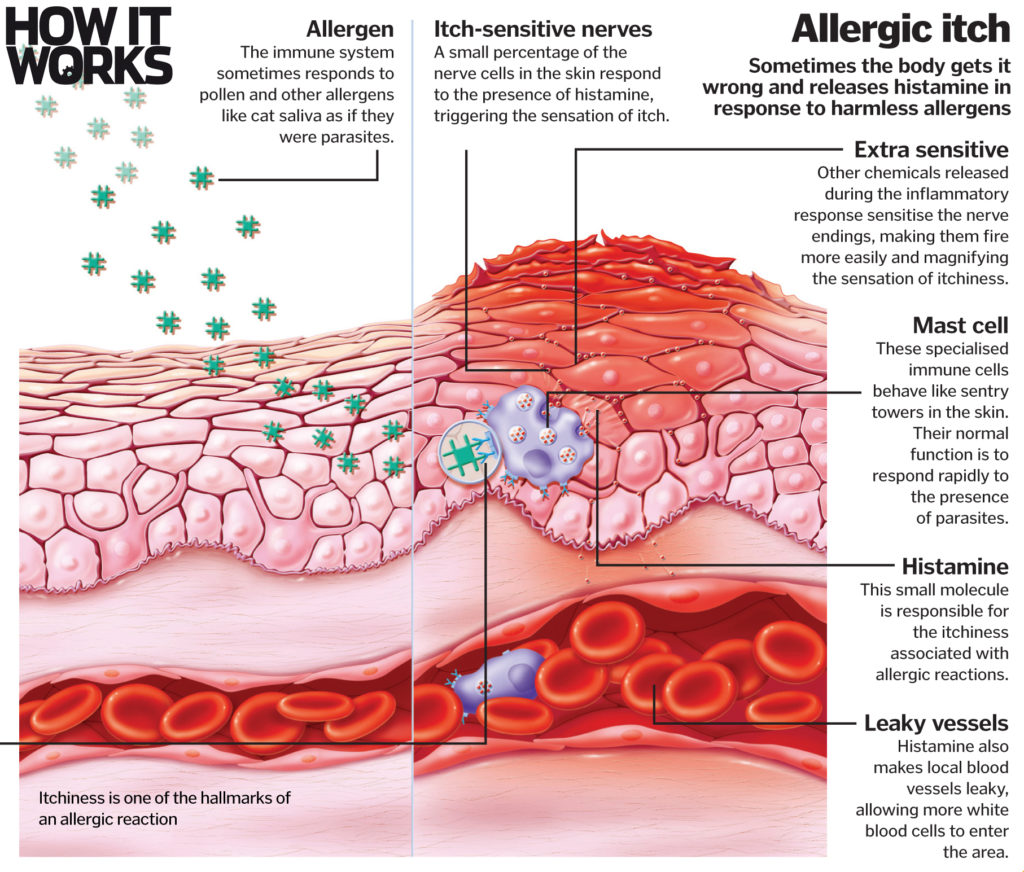The 10 senses you never knew you had – How It Works