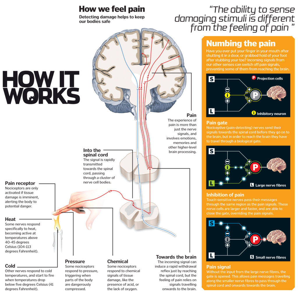 The 10 senses you never knew you had – How It Works